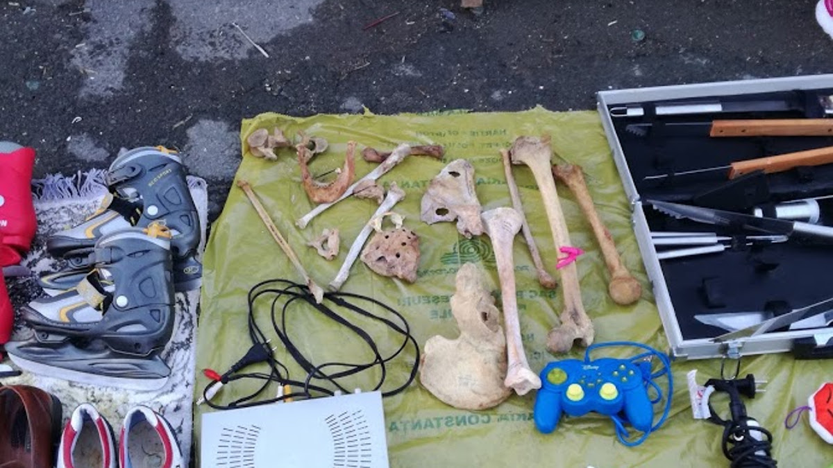 Oase umane – CTnews