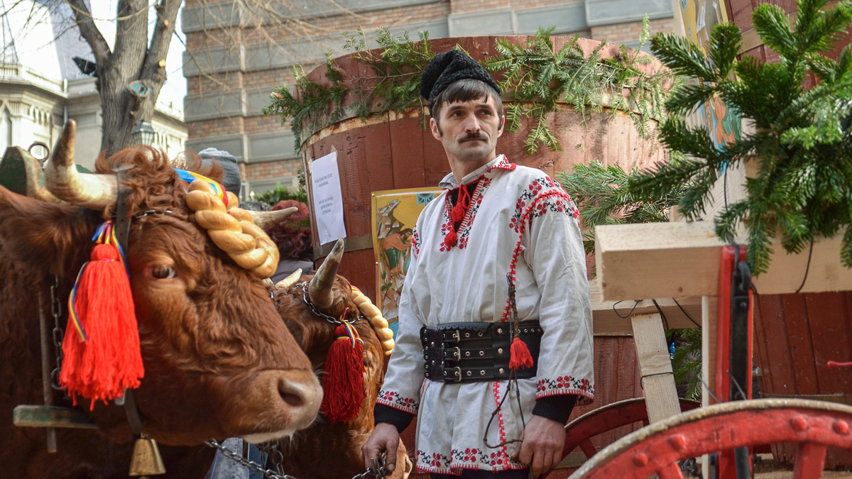 Boboteaza (4) – CTnews