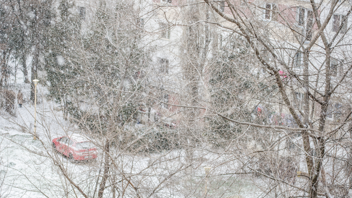 Ninsoare, iarna – CTnews