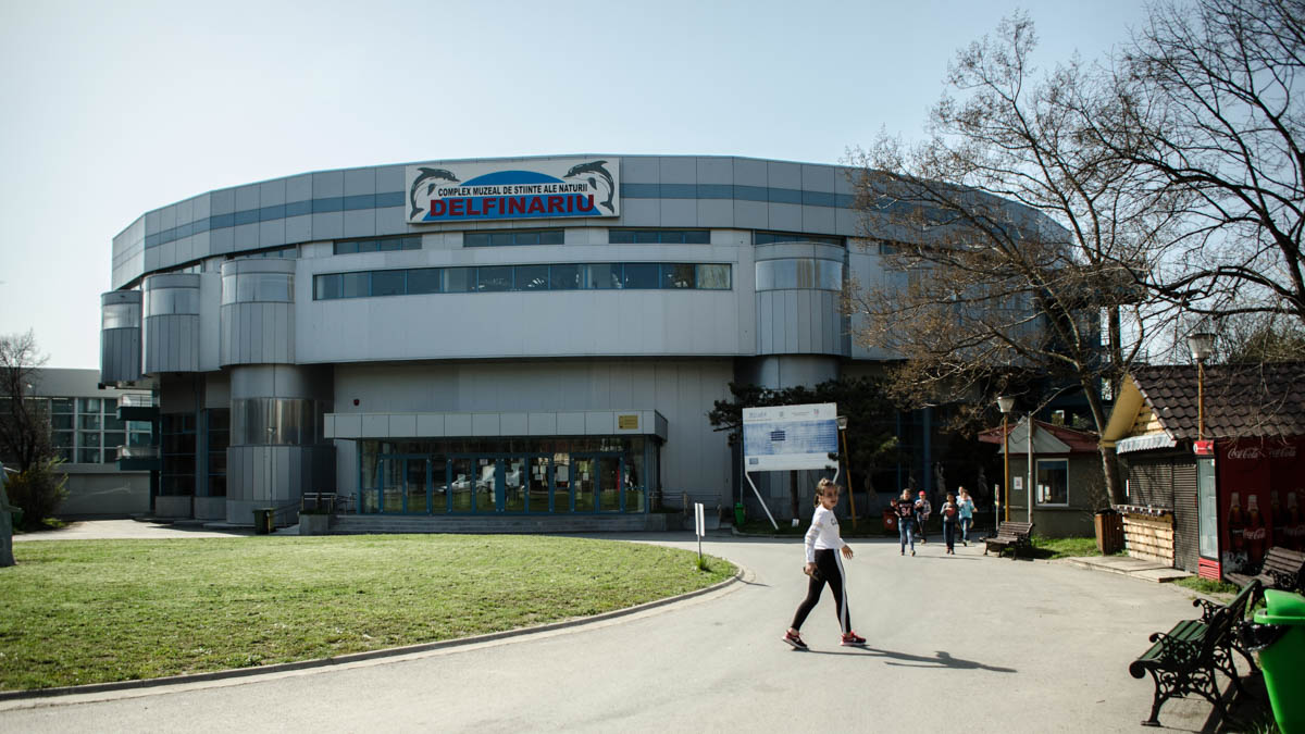 Delfinariu (4 of 4) – CTnews