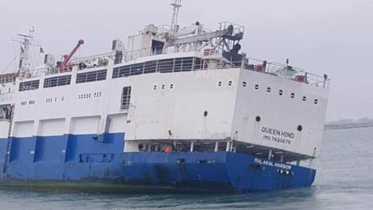 FOTO VIDEO O navă cu peste 14.000 oi la bord s-a răsturnat în Portul ...