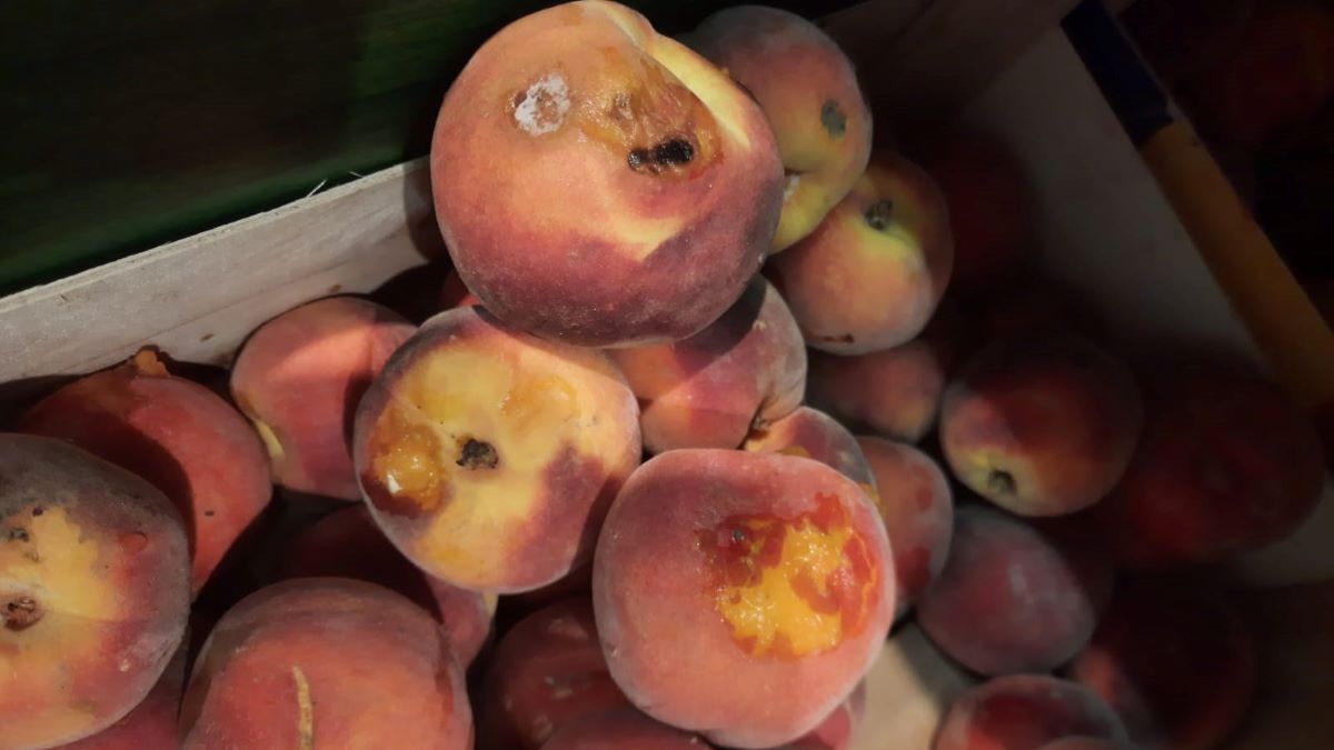 Amenzi de peste 280.000 de lei date de Protecția Consumatorilor ...