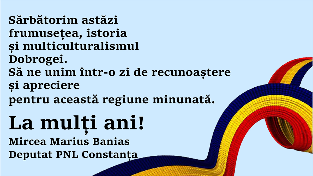 Primar Florin Mitroi – CTnews